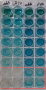 技巧|ELISA高背景的分析 - 每日生物评论