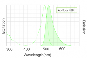 第三代荧光染料：AbFluor 488荧光偶联标记试剂盒 - 每日生物评论