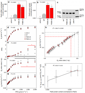 超全的光系统II（PSII）蛋白亚基抗体，任君挑选！ - 每日生物评论