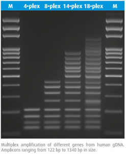 一步到位，常规PCR也可以做到多重（MultiPlex）扩增！ - 每日生物评论