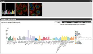 拯救你的发际线：人蛋白质数据库（HPA） - 每日生物评论
