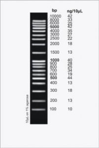超全RNA ladder和DNA ladder来“聚会” - 每日生物评论