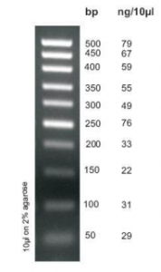 超全RNA ladder和DNA ladder来“聚会” - 每日生物评论