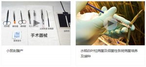 科研人必备：一个优秀可靠免费的实验方法库（Bio-protocol-101） - 每日生物评论