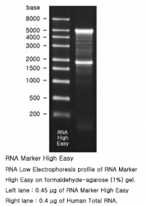 超全RNA ladder和DNA ladder来“聚会” - 每日生物评论