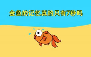 谁说鱼的记忆只有7秒？DNA甲基化可以实现记忆接力 - 每日生物评论