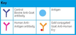 侧向流动检测（LFT），高效快捷 - 每日生物评论