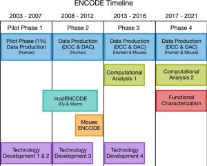 生物评论周报第129期：Nature：展望ENCODE计划，“DNA元件百科全书” - 每日生物评论
