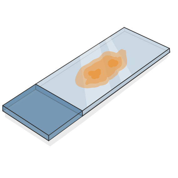 双尾RT-qPCR——超高灵敏度和特异性miRNA定量方法 - 每日生物评论