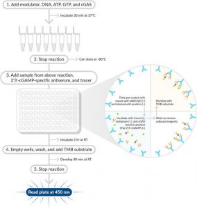 肿瘤治疗cGAS抑制剂筛选工具 - 每日生物评论