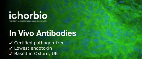 ichorbio高纯度体内研究抗体解决方案 | 每日生物评论