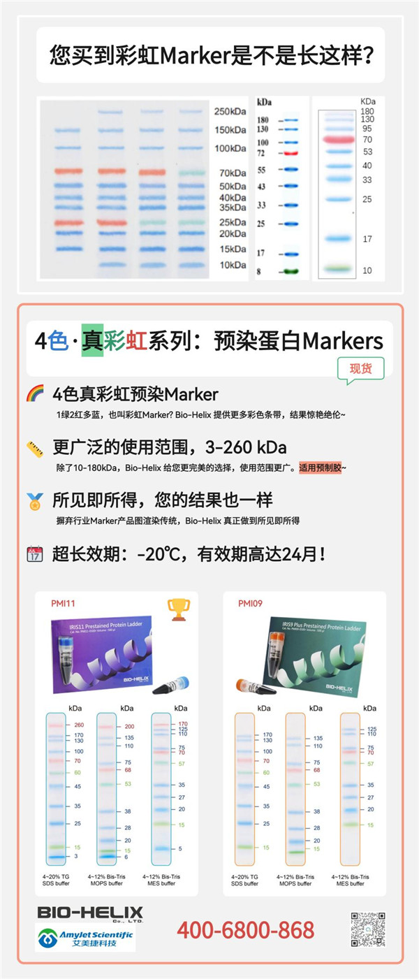 真彩虹Marker长这样：Bio-Helix 4色预染蛋白Markers - 每日生物评论