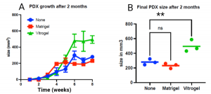 VitroGel水凝胶 VS Matrigel 基质胶，PDX肿瘤移植大比拼！ - 每日生物评论