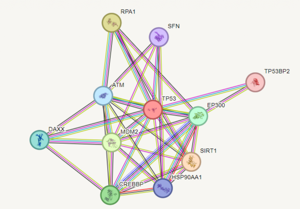 干货分享-Cytoscape软件对经STRING数据 PPI网络图美化 - 每日生物评论