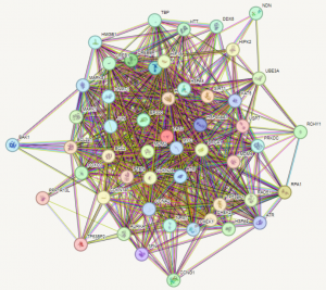 干货分享-Cytoscape软件对经STRING数据 PPI网络图美化 - 每日生物评论