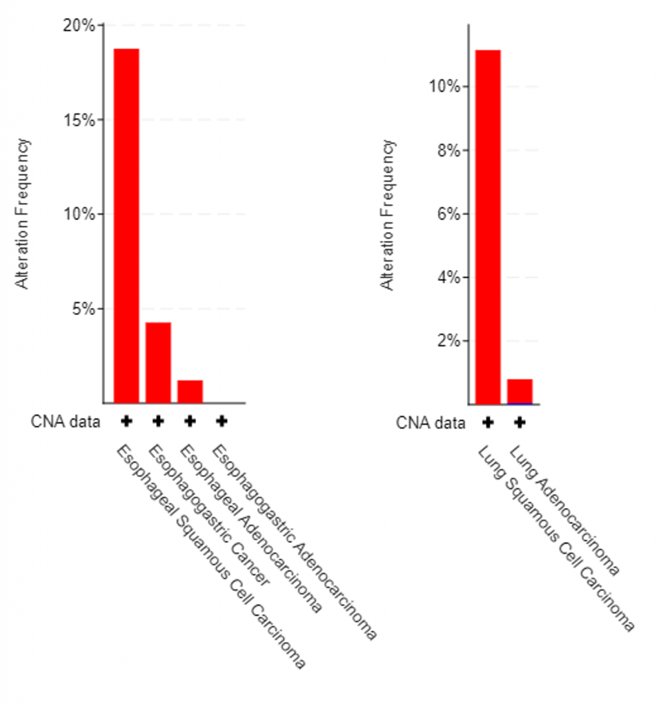 Claudin-18：肿瘤学的治疗靶点 - 每日生物评论