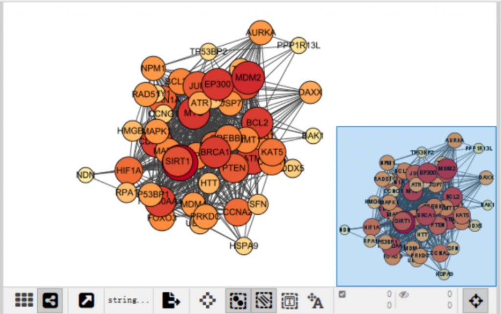 干货分享-Cytoscape软件对经STRING数据 PPI网络图美化 - 每日生物评论