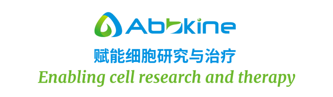 Abbkine Annexin V-AbFluor 405细胞凋亡检测试剂盒（蓝色荧光）操作流程 - 每日生物评论