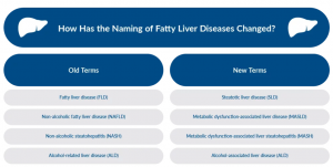 推进MASLD和MASH研究：脂肪性肝病代谢功能障碍的工具和策略 - 每日生物评论