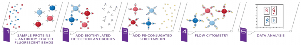 Raybiotech RayPlex™ 流式多因子，可靠检测之选 - 每日生物评论